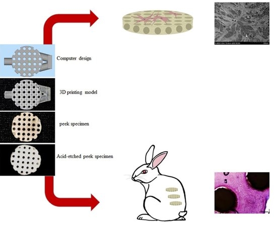 IJMS | Free Full-Text | Three-Dimensionally-Printed Polyether-Ether-Ketone Implant with a Cross ...