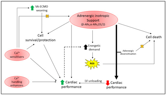 Hurdles to Cardioprotection in the Critically Ill