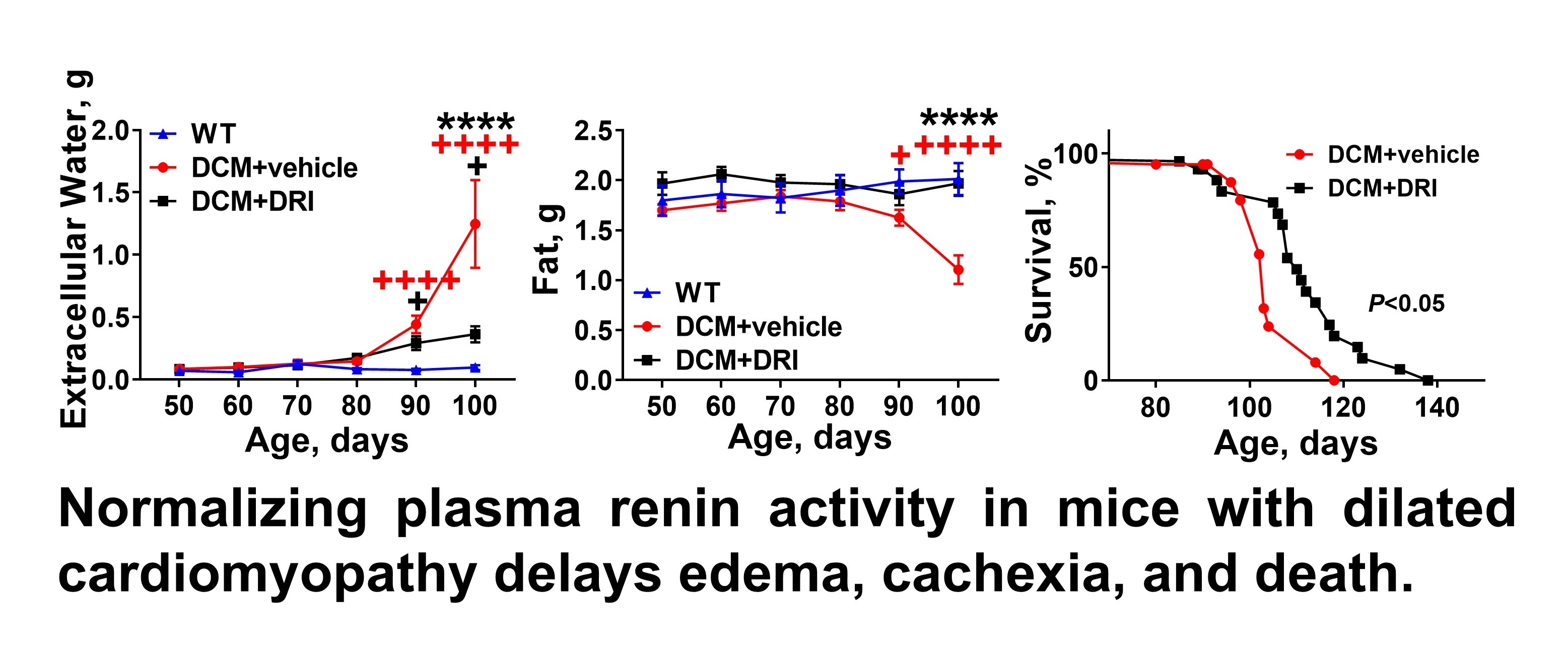 IJMS | Free Full-Text | Normalizing Plasma Renin Activity in ...