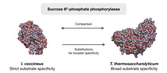 IJMS | Free Full-Text | Structural Comparison of a Promiscuous and a ...