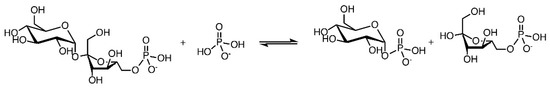 Structural Comparison of a Promiscuous and a Highly Specific Sucrose 6F ...