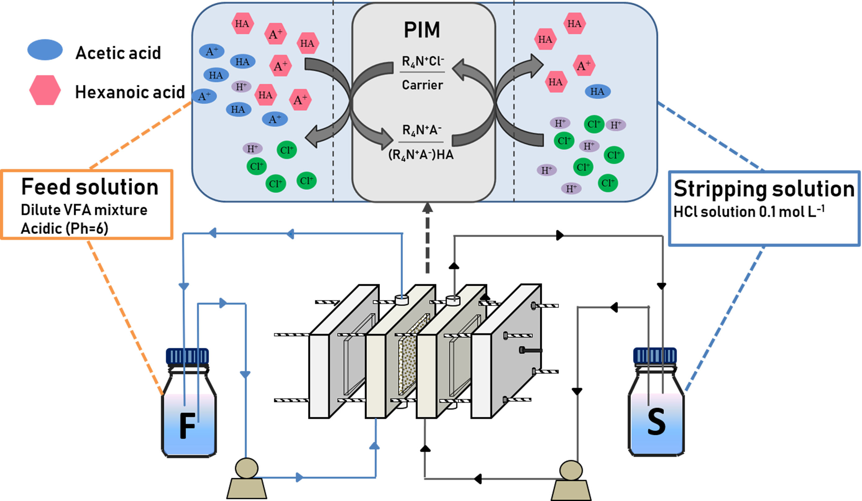 IJMS | Free Full-Text | Selective Separation of Acetic and Hexanoic ...