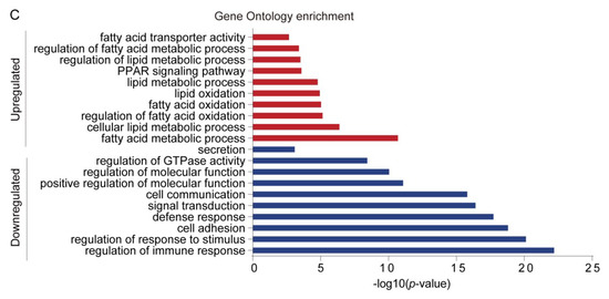 Transcriptional Response of Subcutaneous White Adipose Tissue to Acute ...