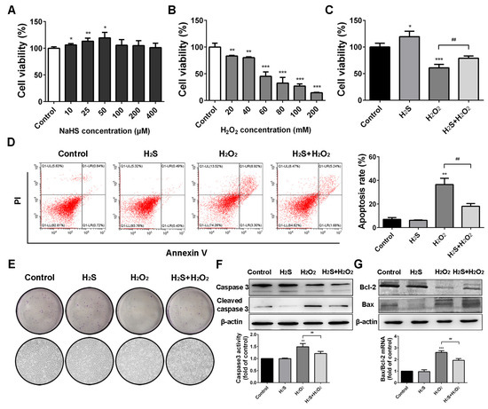 Hydrogen Sulfide Attenuates Hydrogen Peroxide-Induced Injury in Human ...