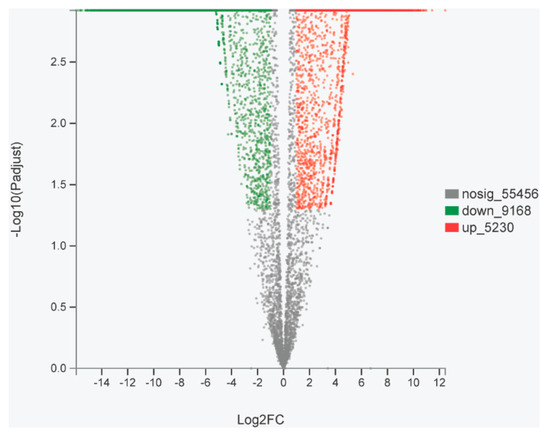De Novo Transcriptome Analysis Reveals Abundant Gonad-specific Genes in ...