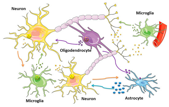 Emerging Role of Genetic Alterations Affecting Exosome Biology in ...