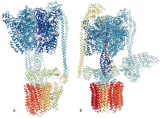 Structure Determination by Single-Particle Cryo-Electron Microscopy ...