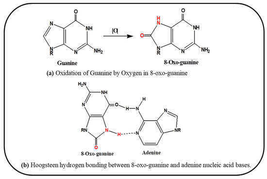 Oxidative Stress: Role and Response of Short Guanine Tracts at Genomic ...