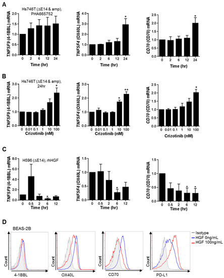 MET Receptor Tyrosine Kinase Regulates the Expression of Co-Stimulatory ...