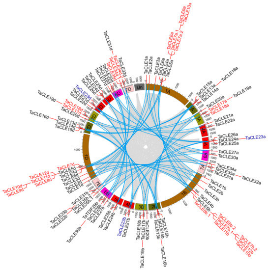 Identification and Functional Analysis of the CLAVATA3/EMBRYO ...