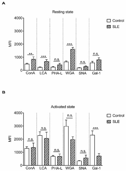 IJMS | Free Full-Text | Altered Cell Surface N-Glycosylation of Resting ...