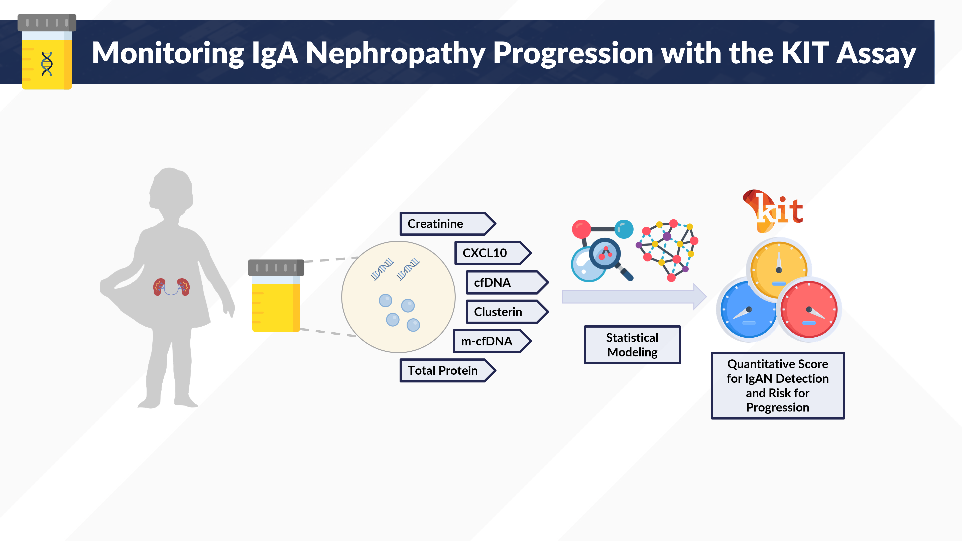 IJMS | Free Full-Text | Noninvasive Urinary Monitoring of Progression ...