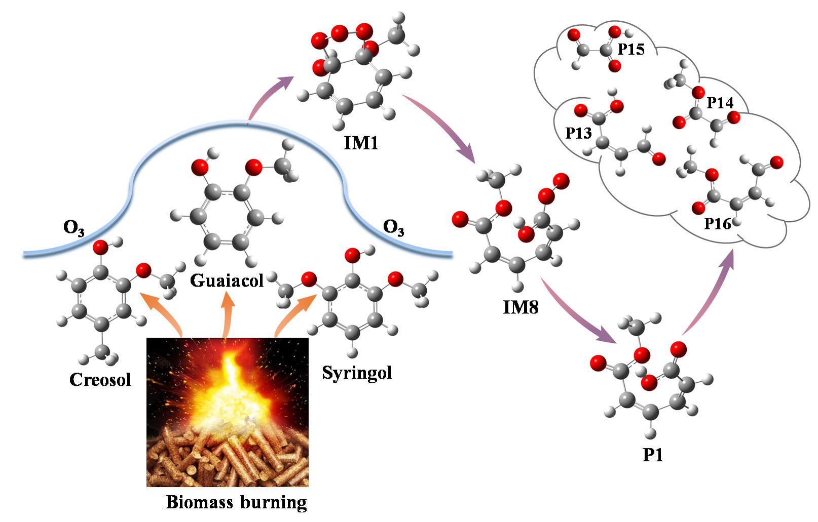 IJMS | Free Full-Text | Mechanistic and Kinetic Investigations on the ...