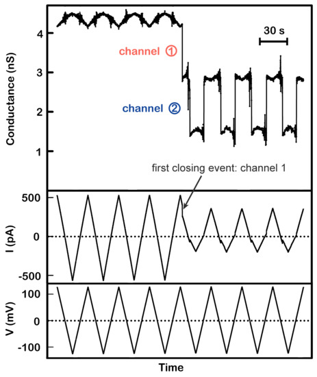 Cooperativity and Steep Voltage Dependence in a Bacterial Channel