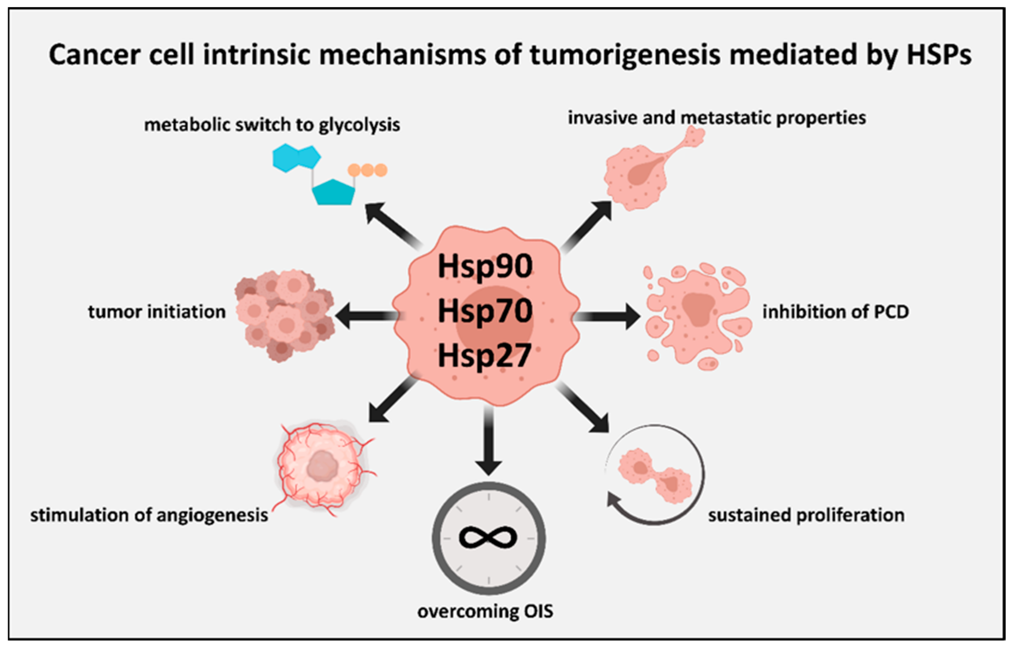 Ijms Free Full Text Heat Shock Proteins Are Essential Components In