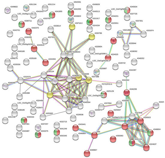Comparative Analysis of Proteomics and Transcriptomics during Fertility ...
