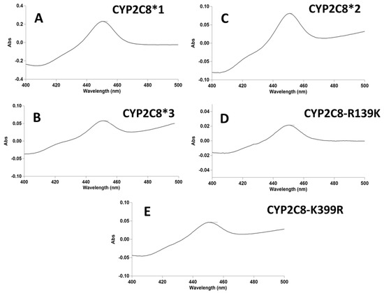 IJMS | Free Full-Text | Polymorphisms of CYP2C8 Alter First-Electron ...