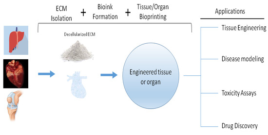 Recent Trends in Decellularized Extracellular Matrix Bioinks for 3D Printing: An Updated Review
