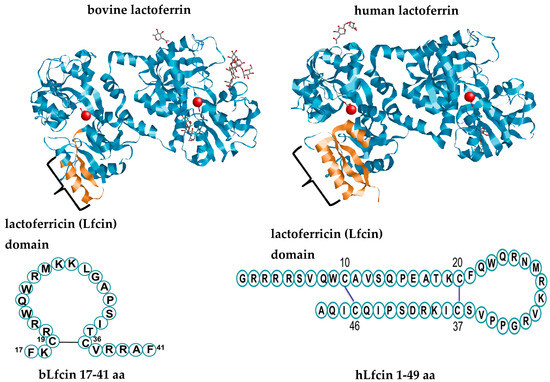 The Impact of Lactoferrin on the Growth of Intestinal Inhabitant Bacteria