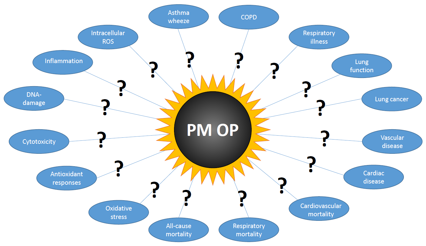 IJMS | Free Full-Text | Oxidative Potential Versus Biological Effects ...