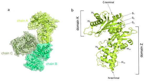 Crystal Structure of Kluyveromyces lactis Glucokinase (KlGlk1)