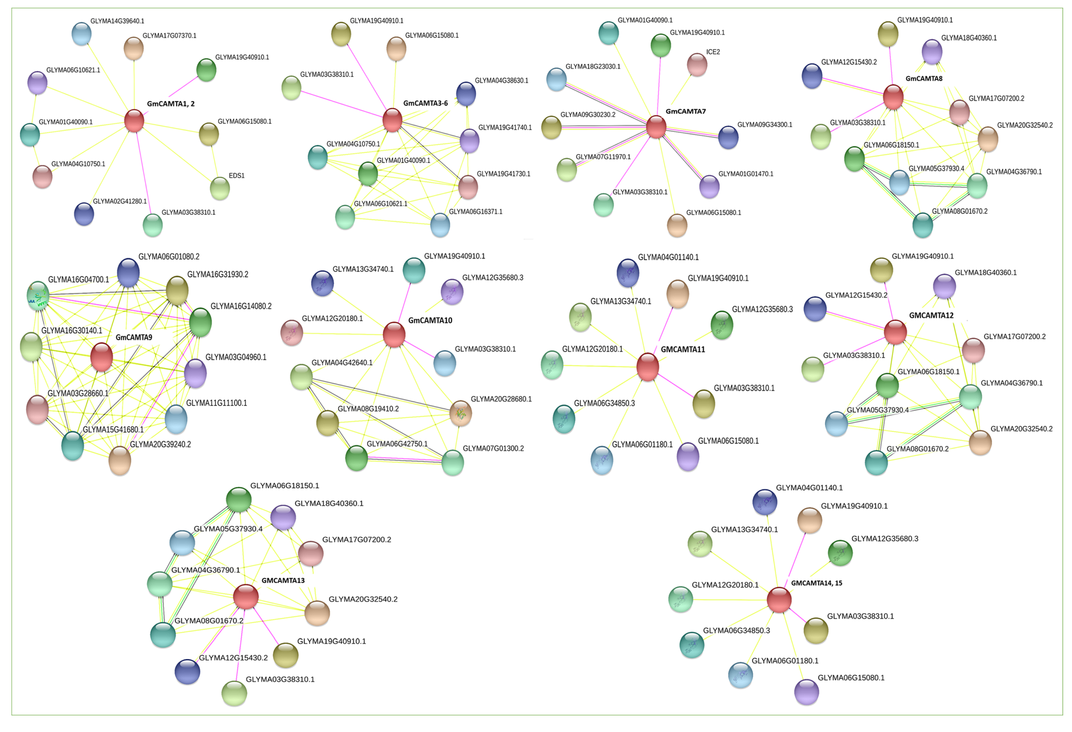 IJMS | Free Full-Text | Overexpression of GmCAMTA12 Enhanced Drought ...