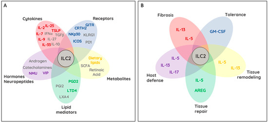 ILC2 Activation by Protozoan Commensal Microbes