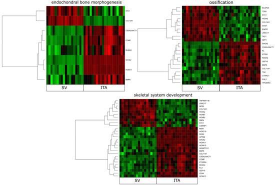 IJMS | Free Full-Text | Differences in Expression of Genes Involved in ...