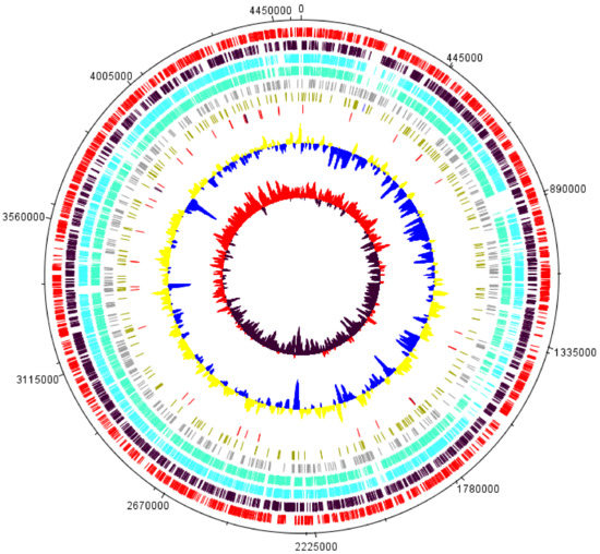Comparative Genome Analyses Reveal the Genomic Traits and Host Plant ...