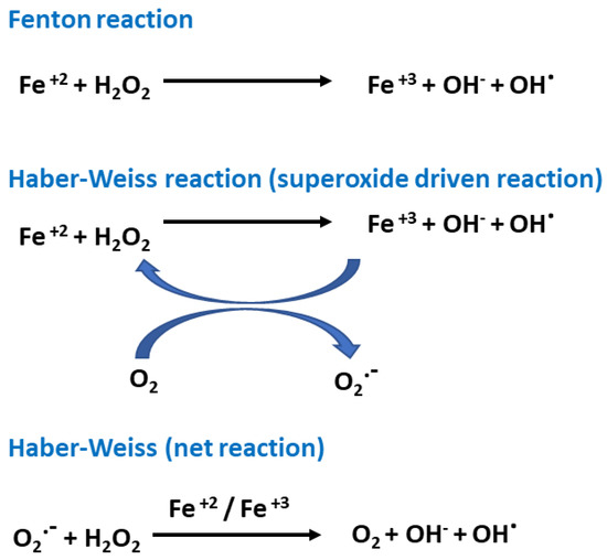 IJMS | Free Full-Text | Programmed Cell-Death by Ferroptosis ...