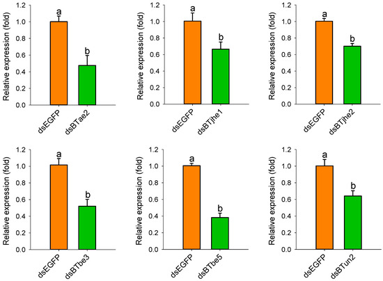 Genome-Wide Analysis of Carboxylesterases (COEs) in the Whitefly ...