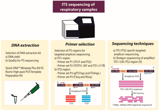 Optimisation and Benchmarking of Targeted Amplicon Sequencing for ...