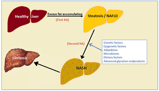 Advanced Cirrhosis Of The Liver