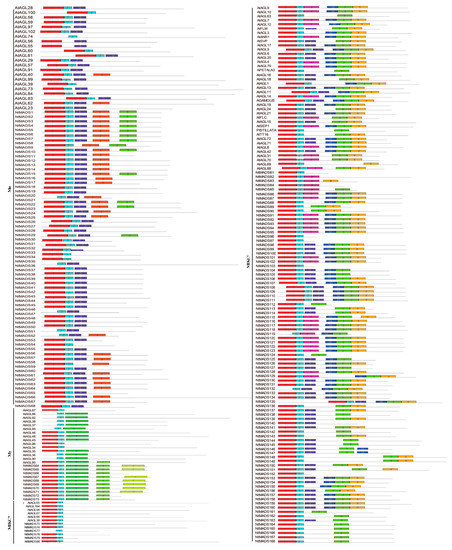 IJMS | Free Full-Text | Genome-Wide Identification, Gene Structure and ...