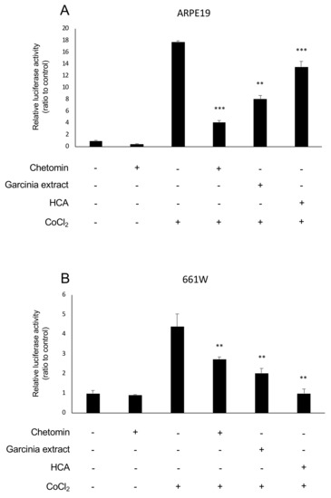 Therapeutic Effect of Garcinia cambogia Extract and Hydroxycitric Acid ...