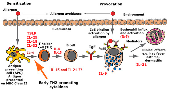 Highly Selective Cleavage of TH2-Promoting Cytokines by the Human and ...