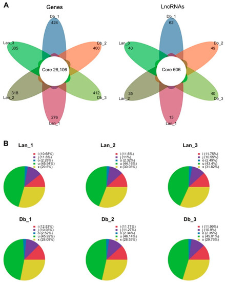 Conjoint Analysis of Genome-Wide lncRNA and mRNA Expression of ...