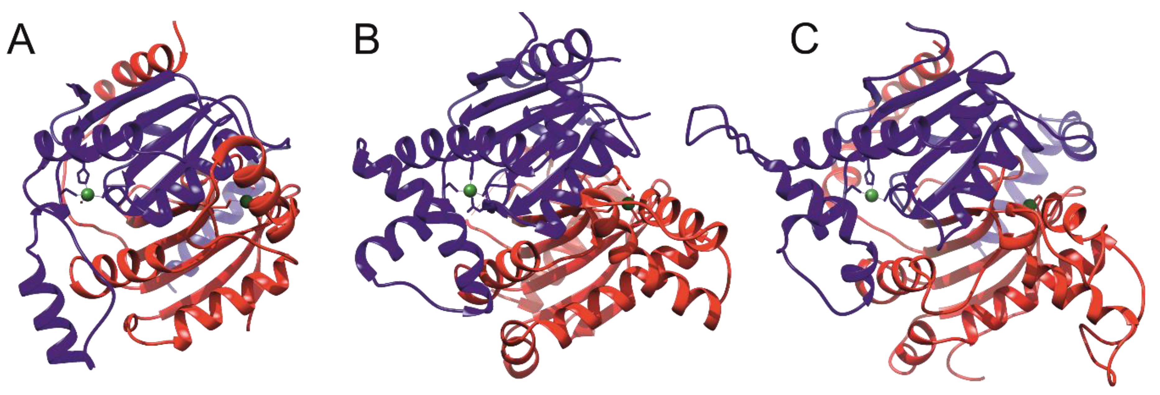 Mycobacterium tuberculosis β-Carbonic Anhydrases: Novel Targets for ...