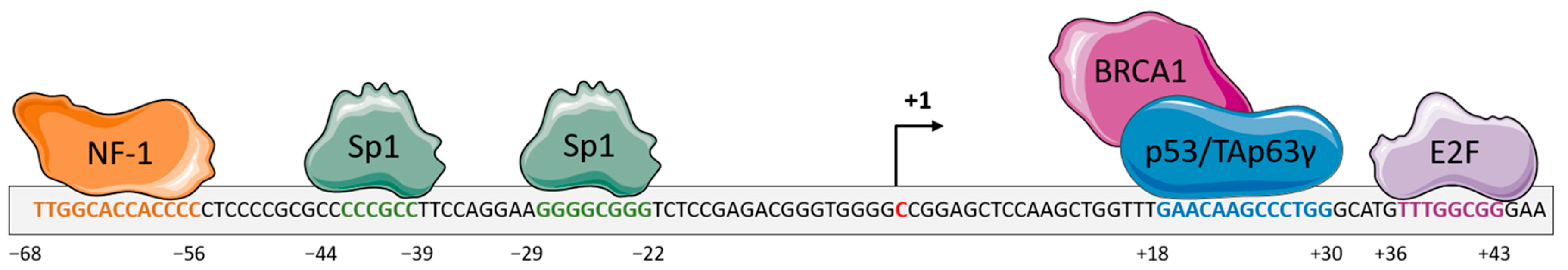 Emerging Roles of DDB2 in Cancer