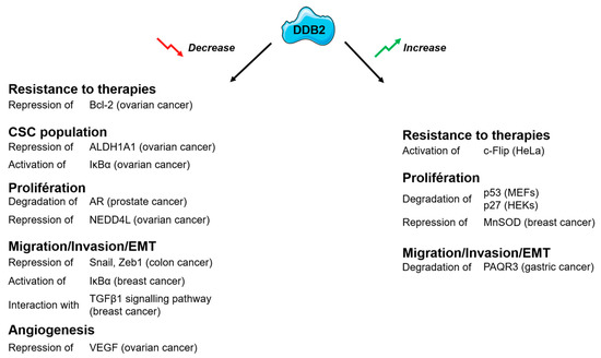 Emerging Roles of DDB2 in Cancer