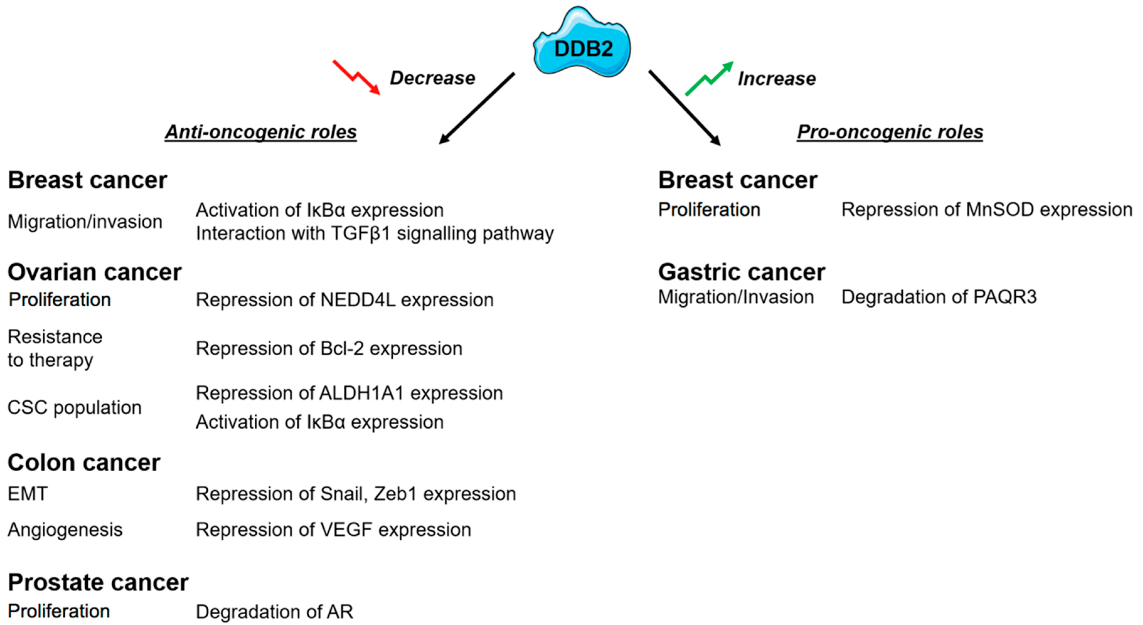 Emerging Roles of DDB2 in Cancer