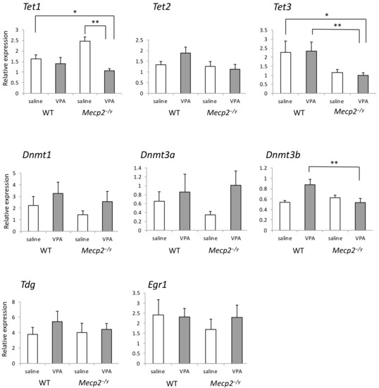 IJMS | Free Full-Text | Early Postnatal Treatment with Valproate ...