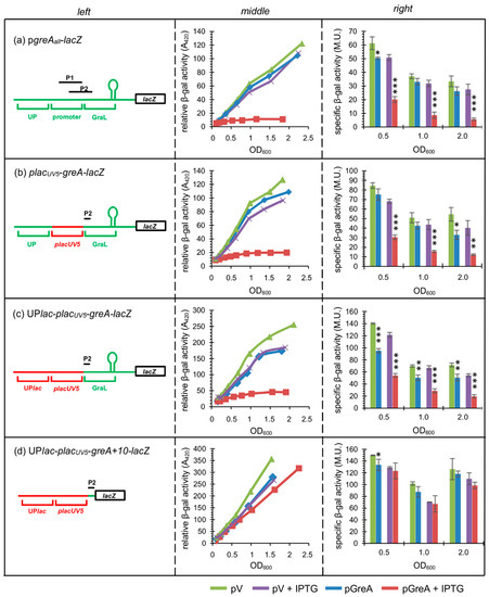 Autoregulation of greA Expression Relies on GraL Rather than on greA ...