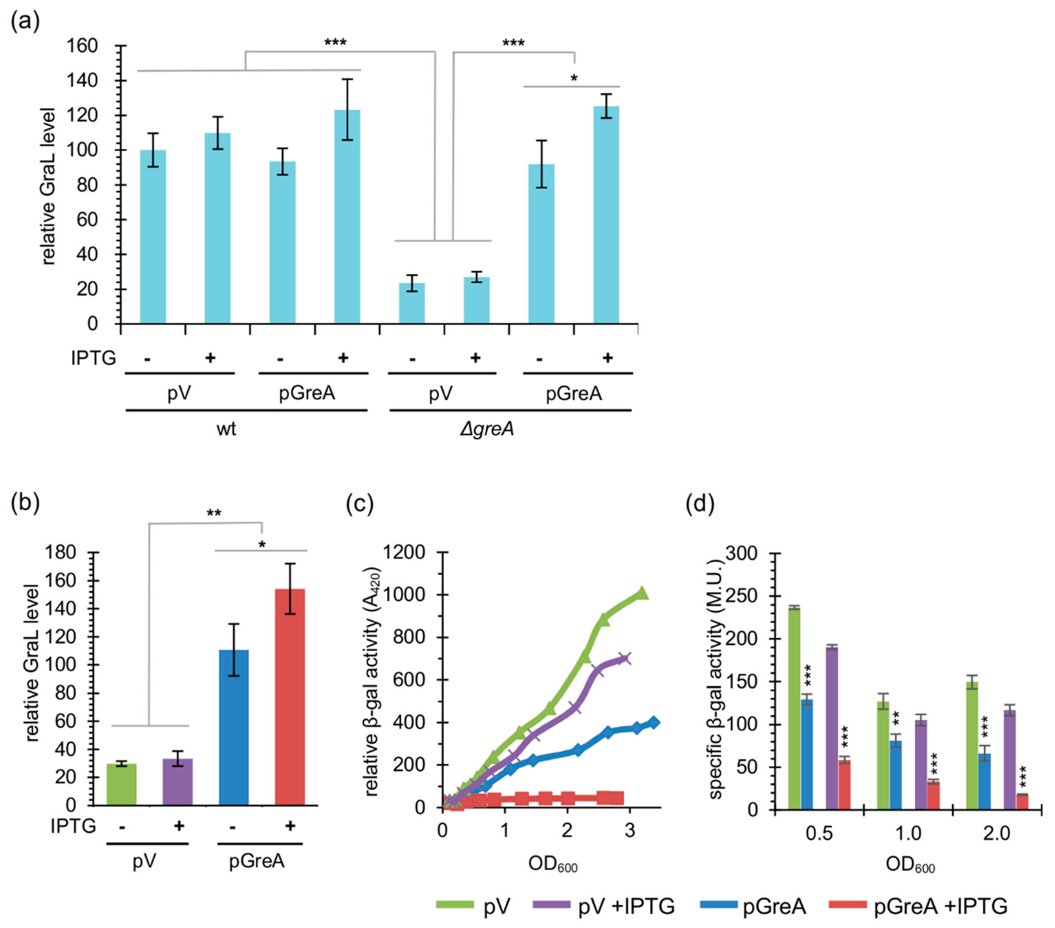 Autoregulation of greA Expression Relies on GraL Rather than on greA ...