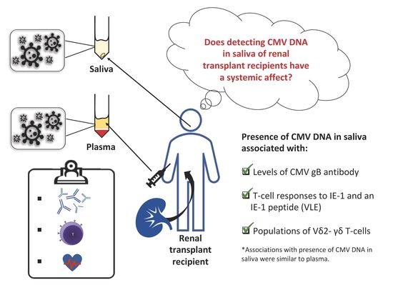 IJMS | Free Full-Text | The Detection of CMV in Saliva Can Mark a ...