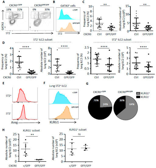 IJMS | Special Issue : Targeting Group 2 Innate Lymphoid Cells (ILC2 ...