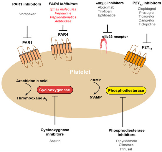 Using PAR4 Inhibition as an Anti-Thrombotic Approach: Why, How, and When?