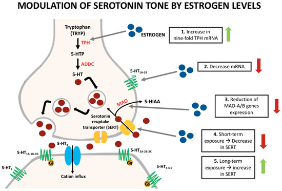 An Association of Serotonin with Pain Disorders and Its Modulation by ...