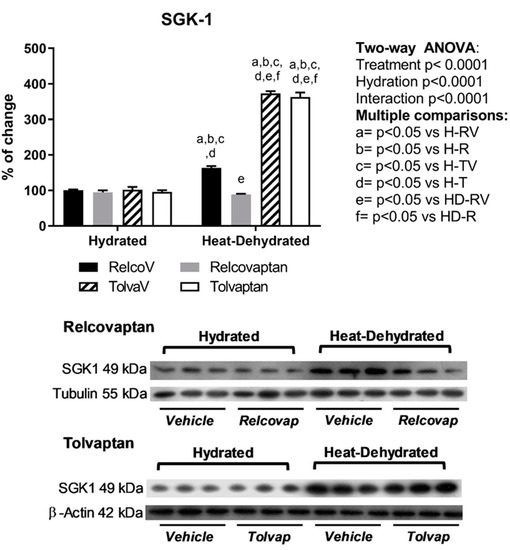 A Role for Both V1a and V2 Receptors in Renal Heat Stress Injury ...