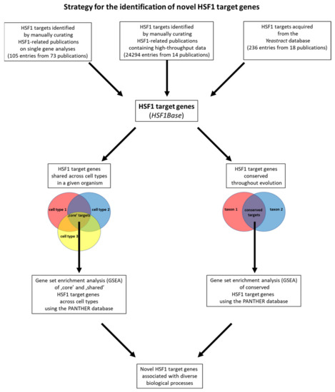 HSF1Base: A Comprehensive Database of HSF1 (Heat Shock Factor 1) Target ...